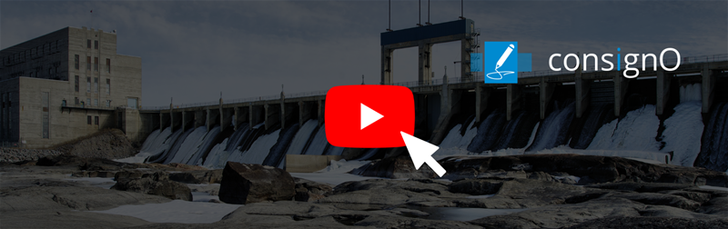 Digital Signatures | APEGA