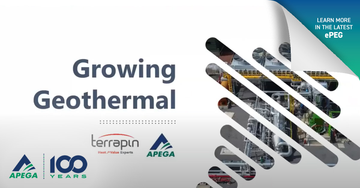 APEGA Reheats Branch Luncheons Online | APEGA